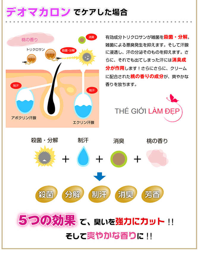 Kem trị mùi hôi DM Deo macaron Nhật Bản - Thegioilamdep.net